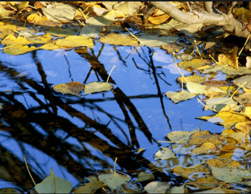 Levi Frady eyewitness: ‘I didn’t see any blood, anywhere.’ – levifrady.com